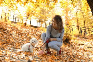 Dog Pooping Blood? What It Could Mean and When to Call the Vet | All ...